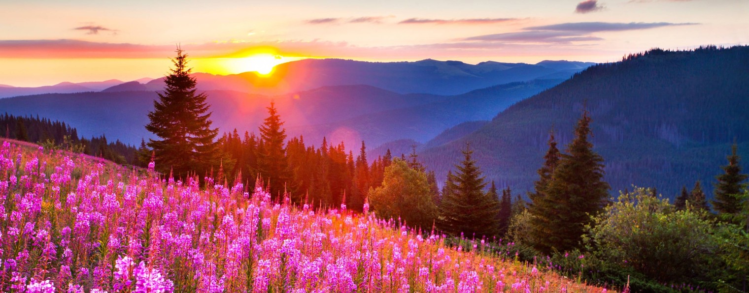 Иван Тиунов