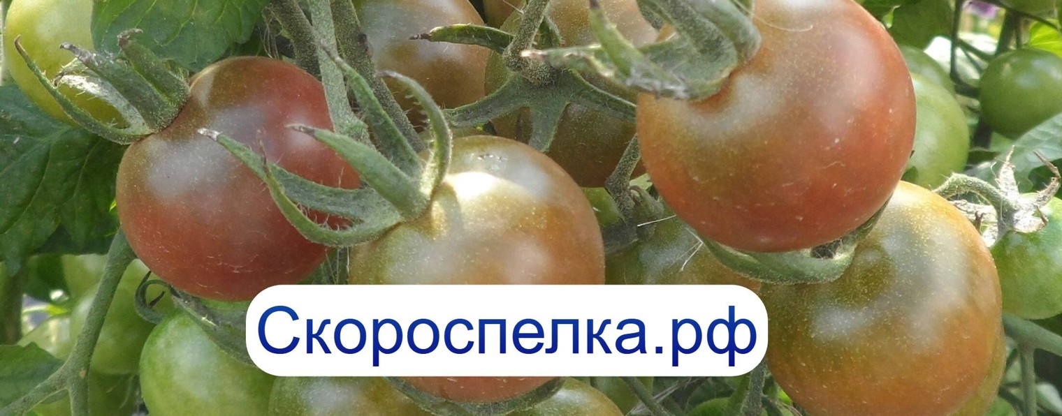 скороспелка.рф