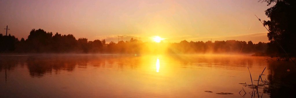 NeroFish-Рыбалка с охотой