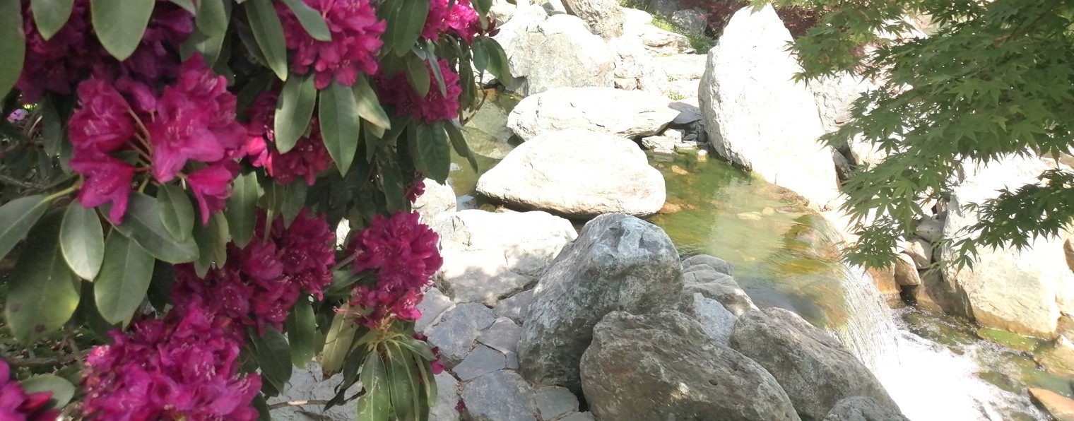 Мы путешественники https://wetravelers.ru/