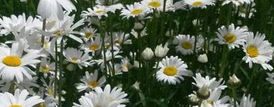 Ольга Жигалова