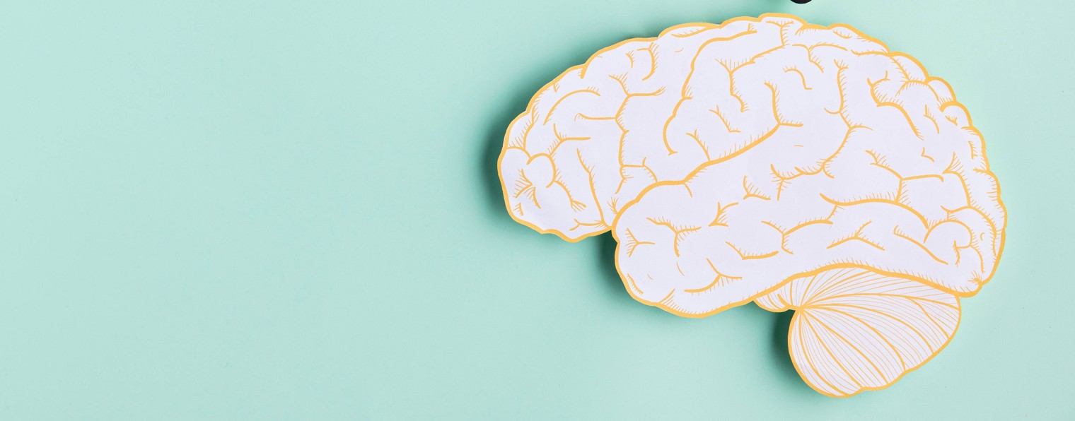 Тренируем МОЗГ