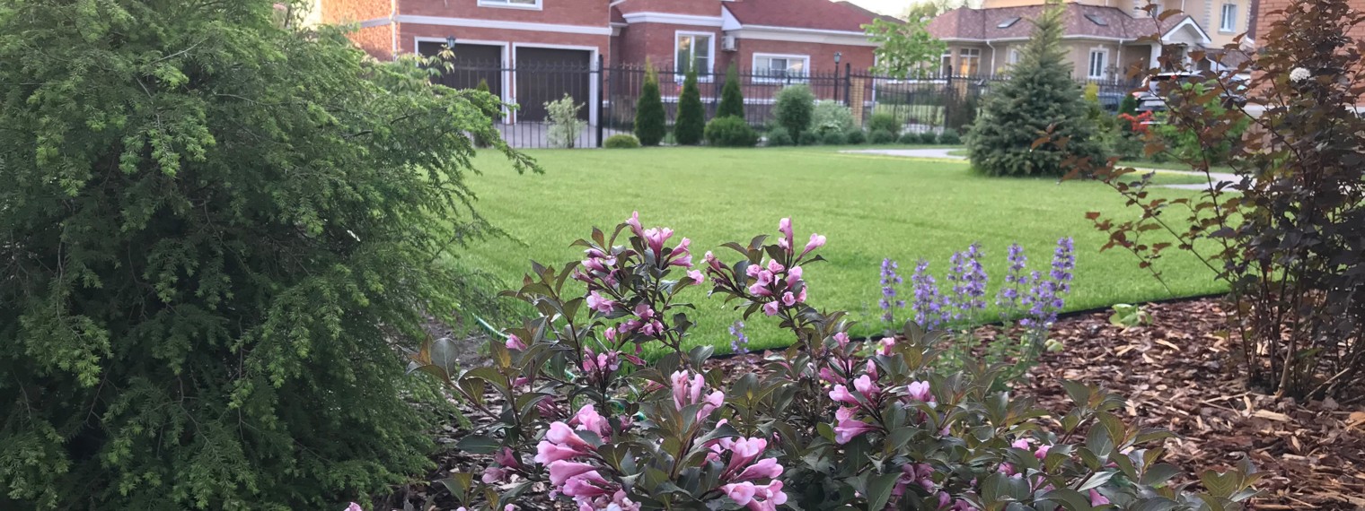 Ландшафтный дизайн