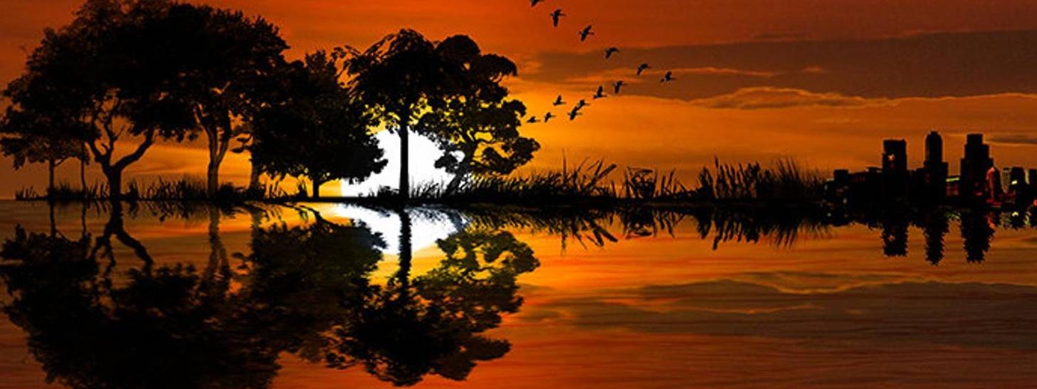 Образ жизни