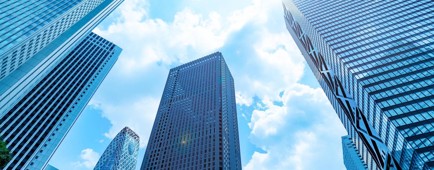 Компания Реин Дир