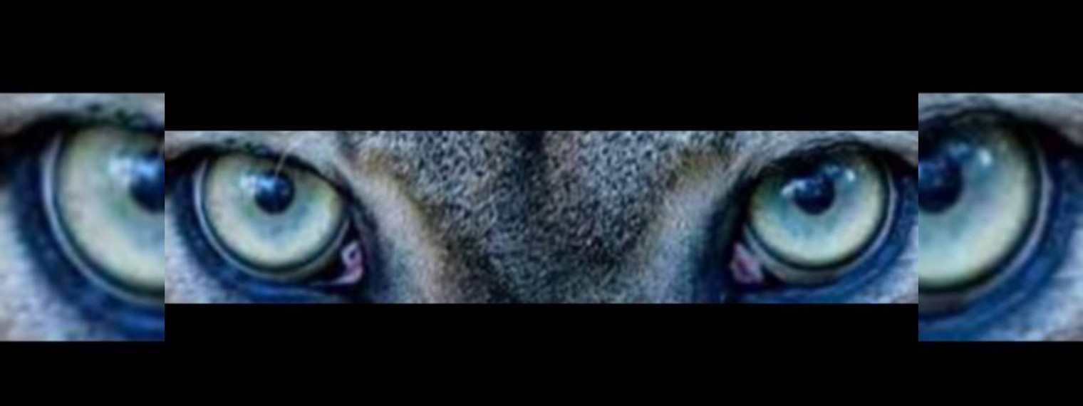 Алексей Новоженин