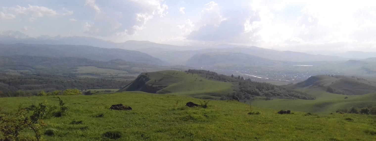 Психолог Лада Пигузова