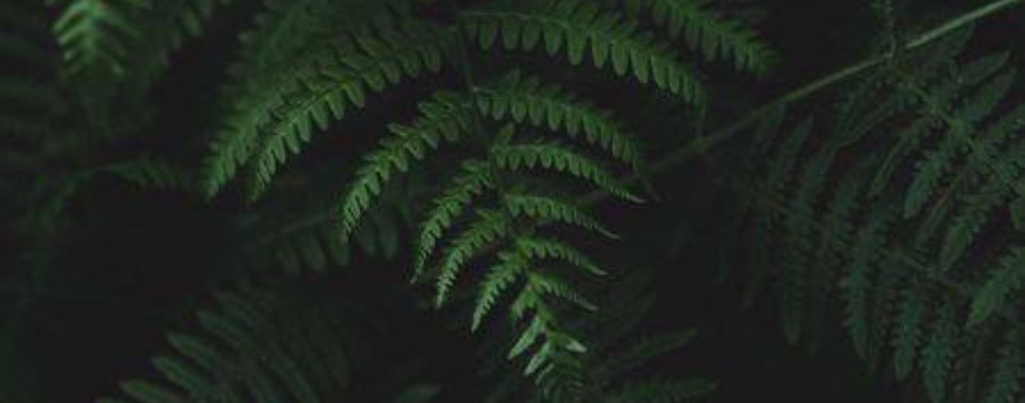 Sudeepti | Tantra | Vipassana