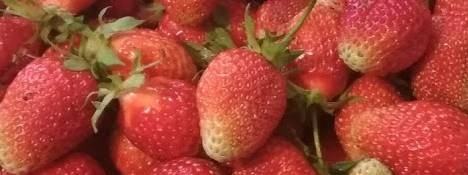 Хлопоты в моём селе