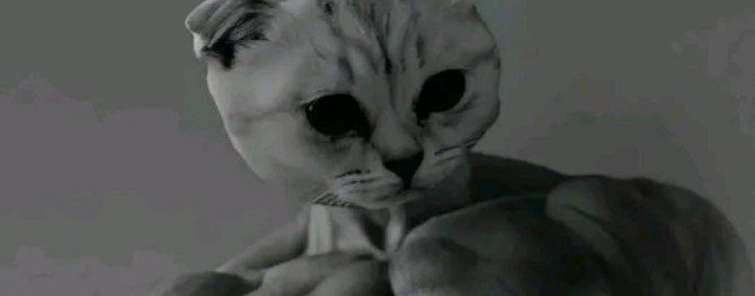 Завертин | Нарезки T2x2