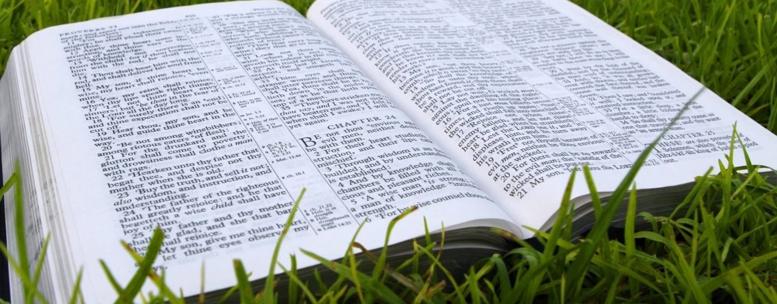 Соль Земли «ОЦХВЕ»