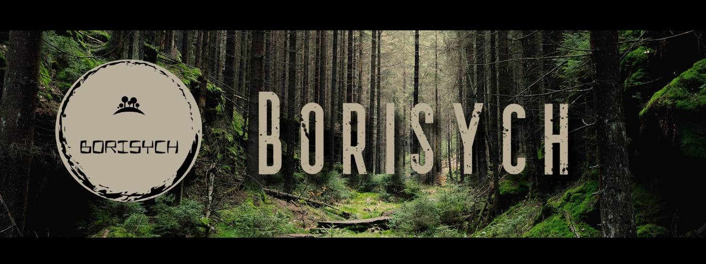 Borisych