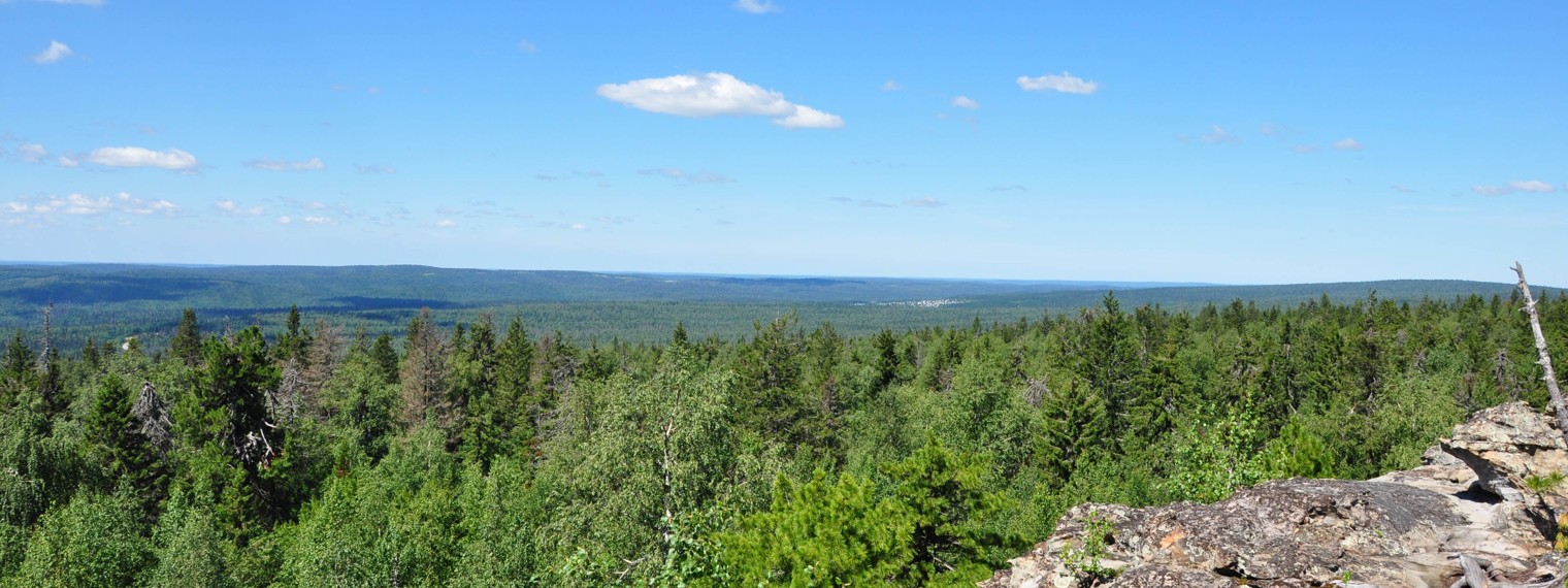 Ольга Коркунова