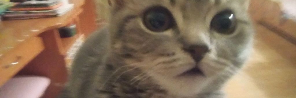 Звездочка Дашулька????