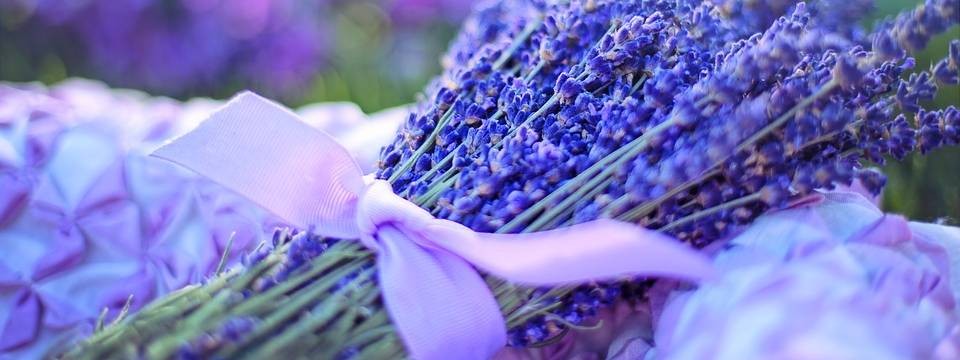 ПРЕ красно!