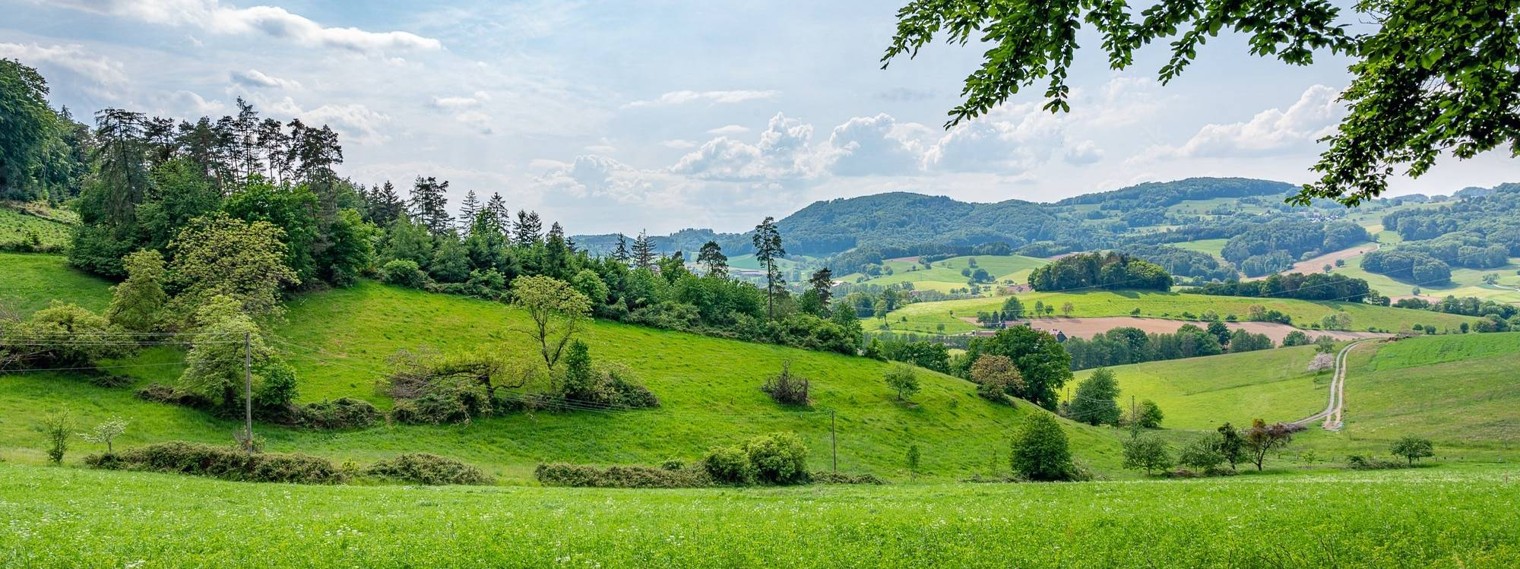 Скучать некогда