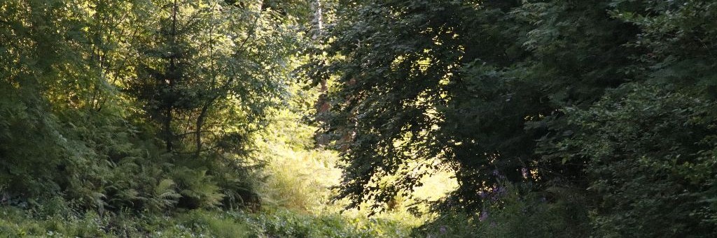 Милимитровые соседи