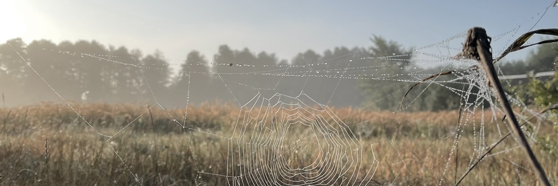 Тарасова Виктория