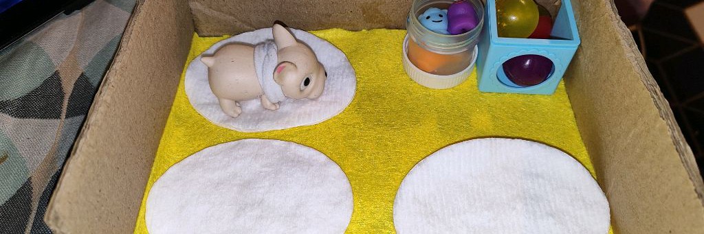 Сквиши собачки🐶