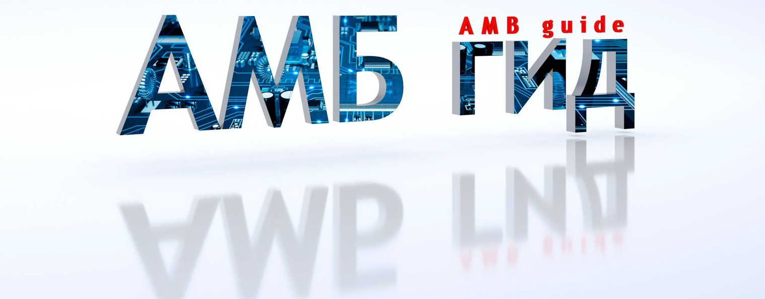 AMB_guide