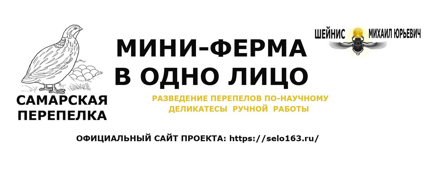Самарская перепелка.Разведение перепелов по-науке