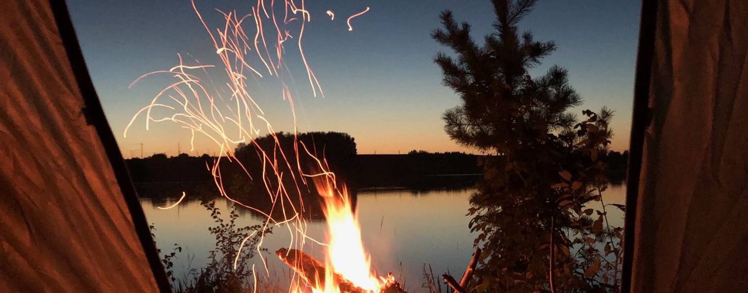 Без сценария