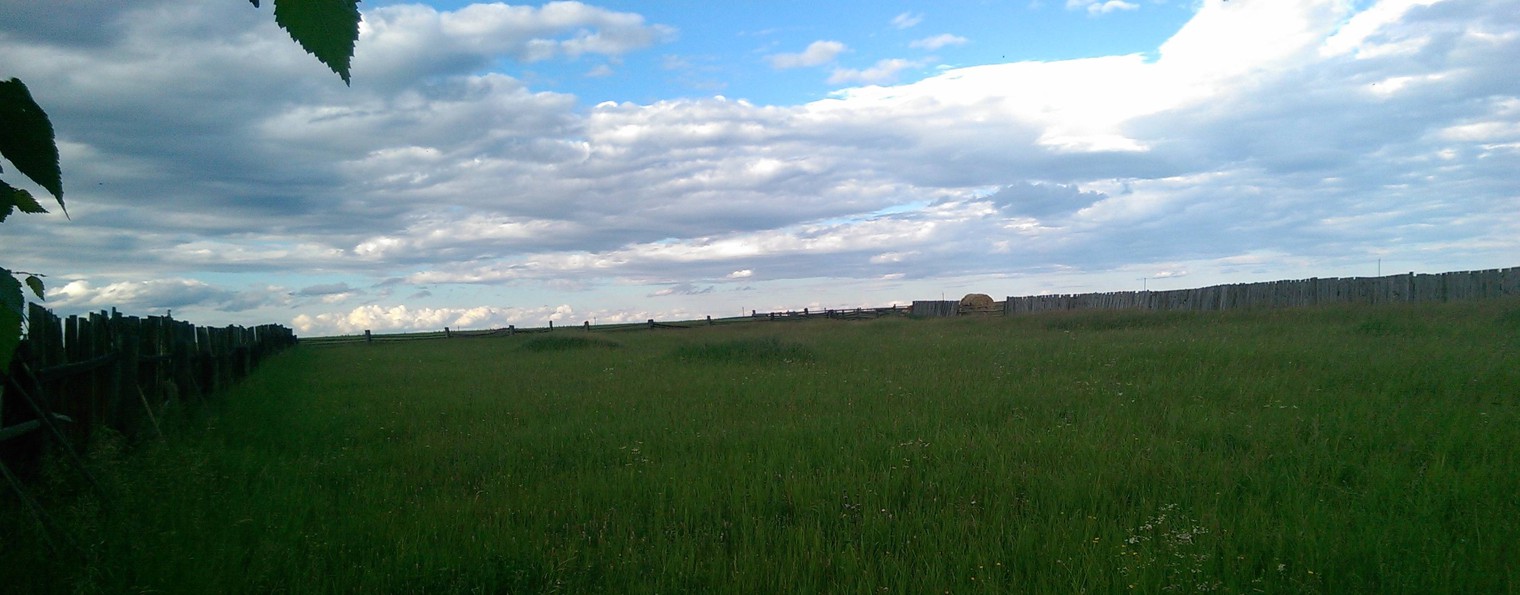 В мире движений