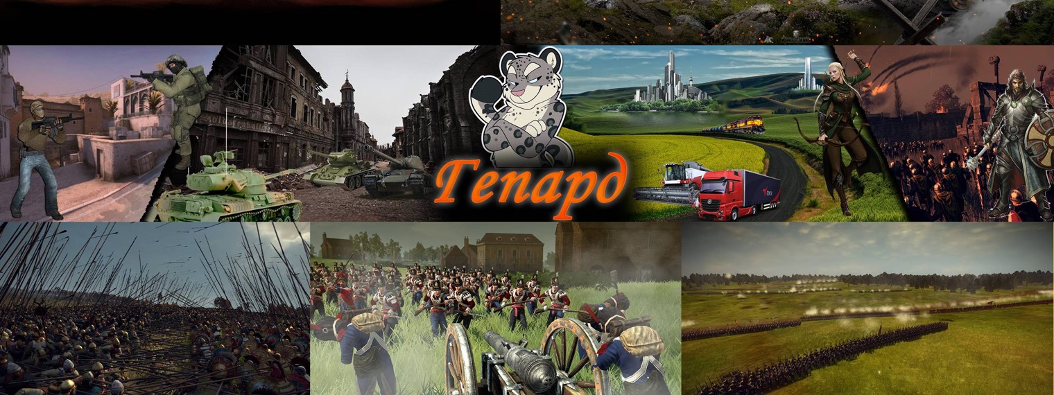 Гепард в деле