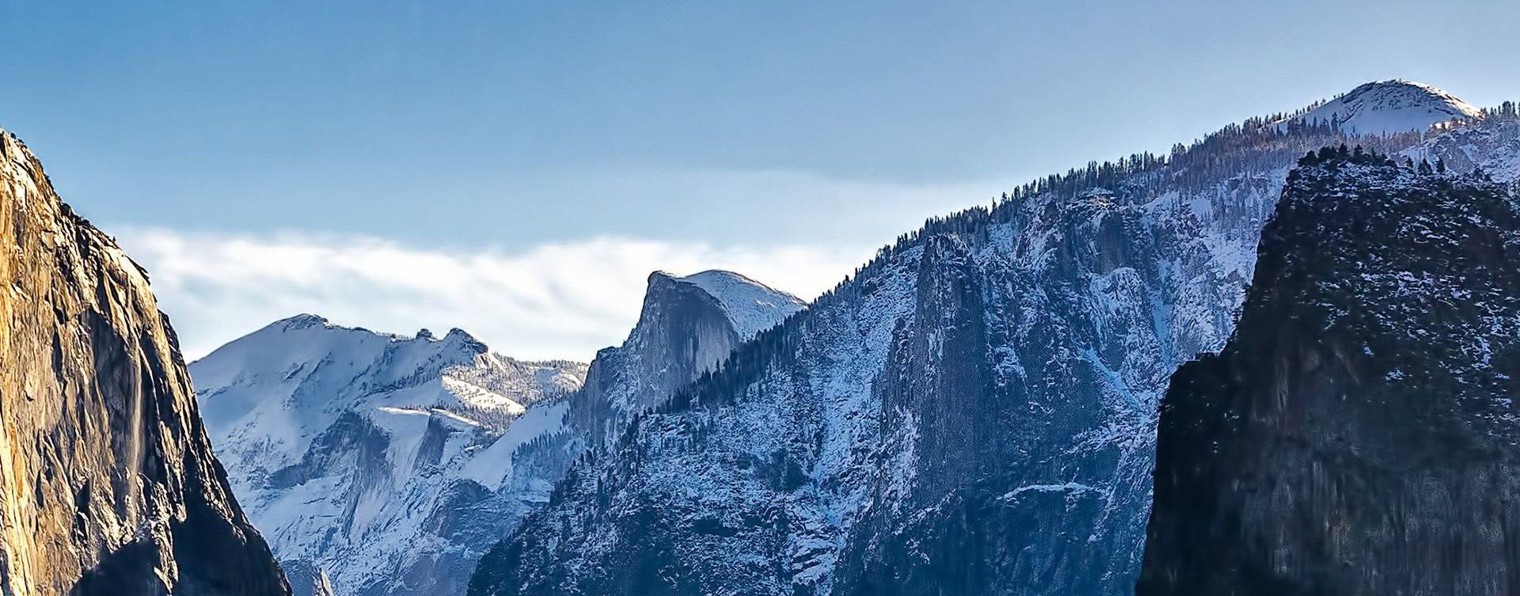 Дмитрий Фатигаров