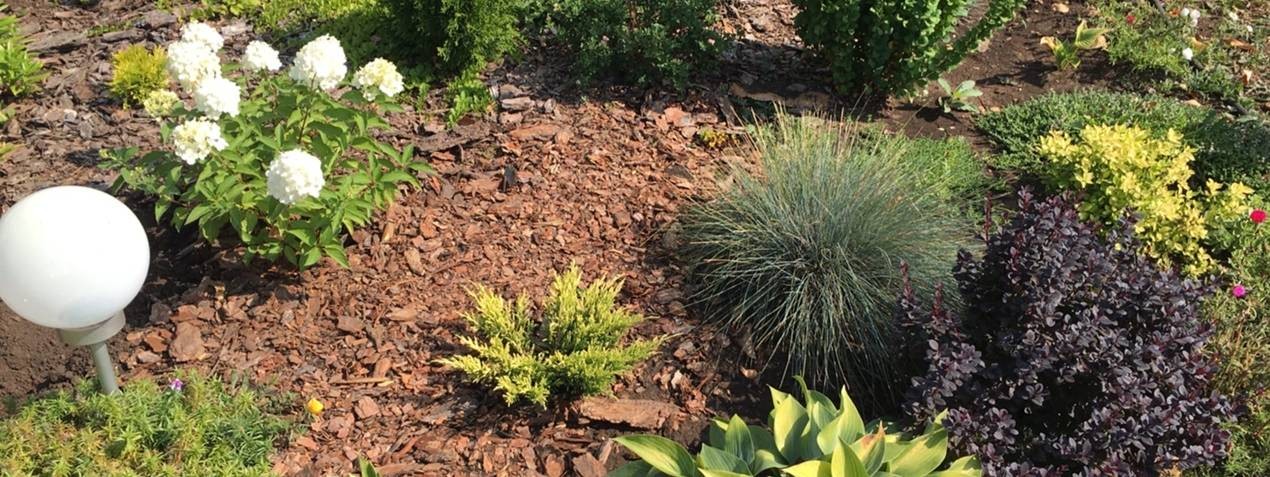 Садовое увлечение