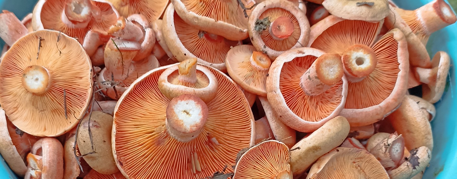 Просто вкусно