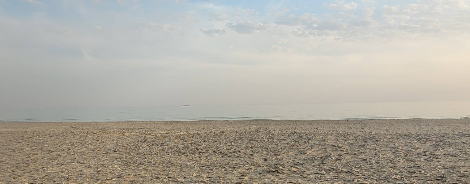 Дикари в деле