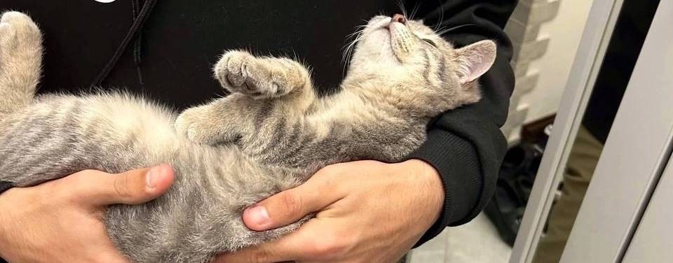 ИВАНОВСКИЙ