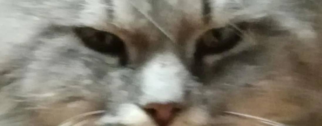 Студия "Взгляд"