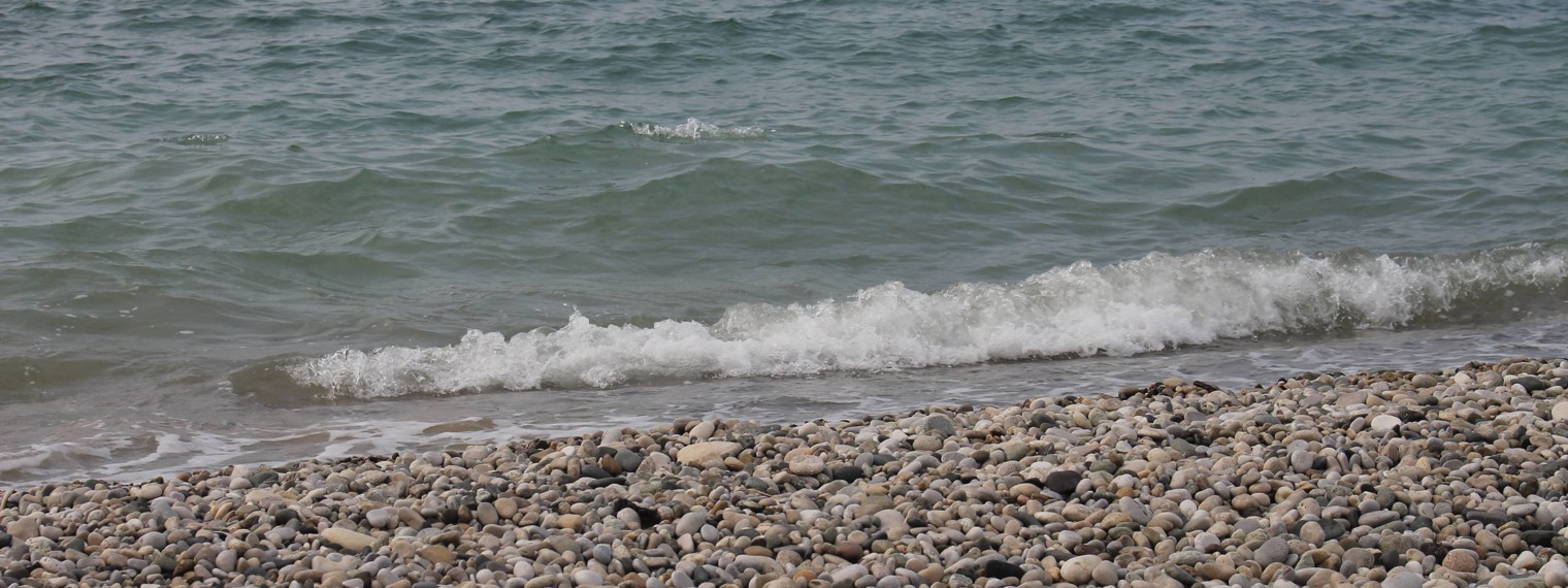 Пульс. Творческая мастерская