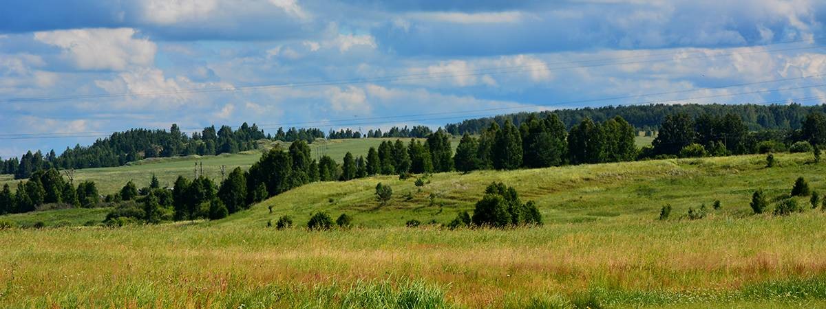 Зауральские будни