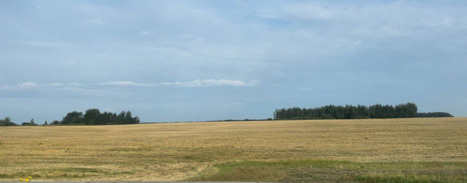 Жизнь после переезда. Беларусь