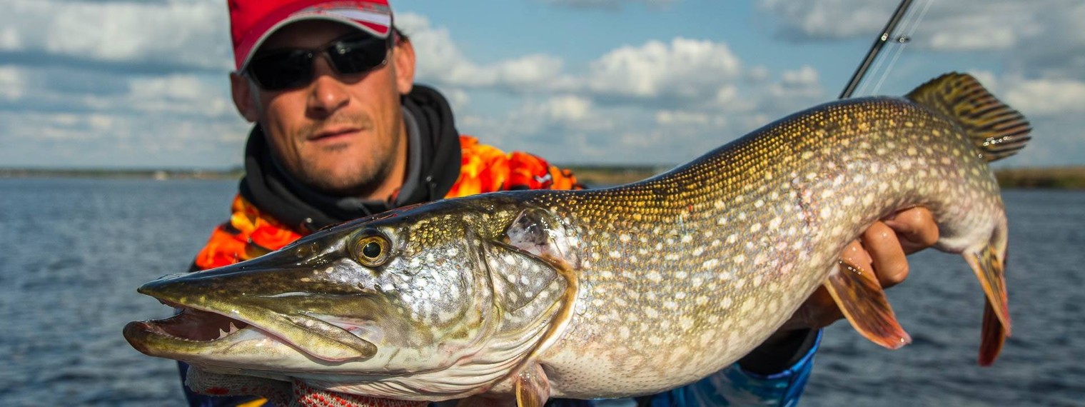 Денис Старовойтов [Канал Пора ловить рыбу]