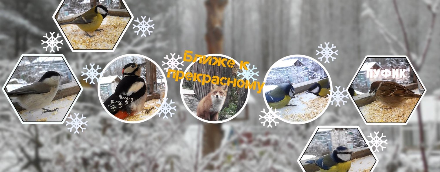 Максим Круковский