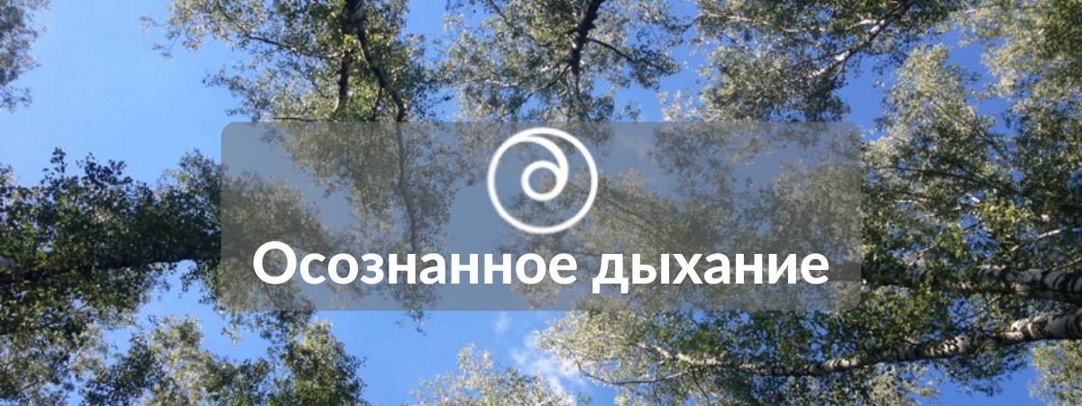 Любовь Богданова Школа осознанного дыхания