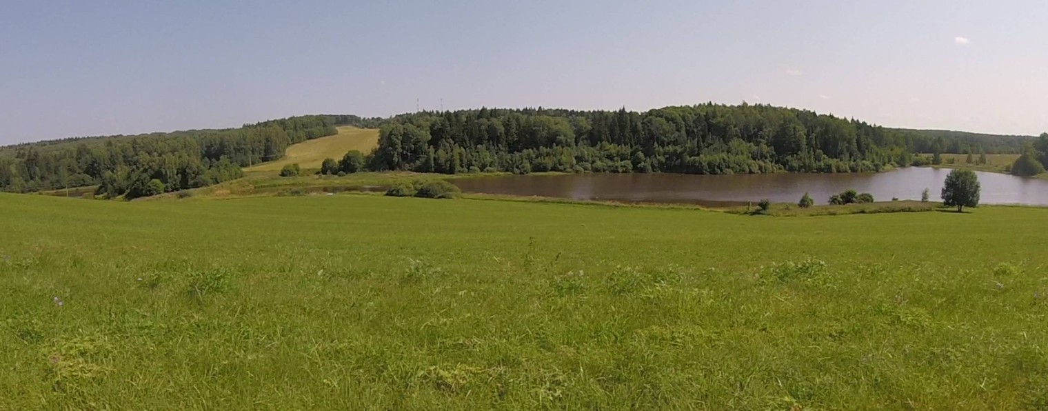 Деревня Соснино