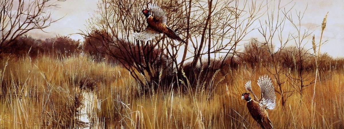 С ружьём наперевес!!!