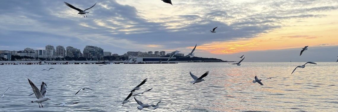 Жизнь в Геленджике. Здесь покупают недвижимость