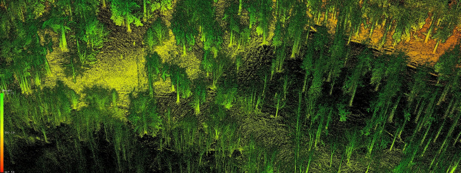 3D ЛАЗЕРНОЕ СКАНИРОВАНИЕ