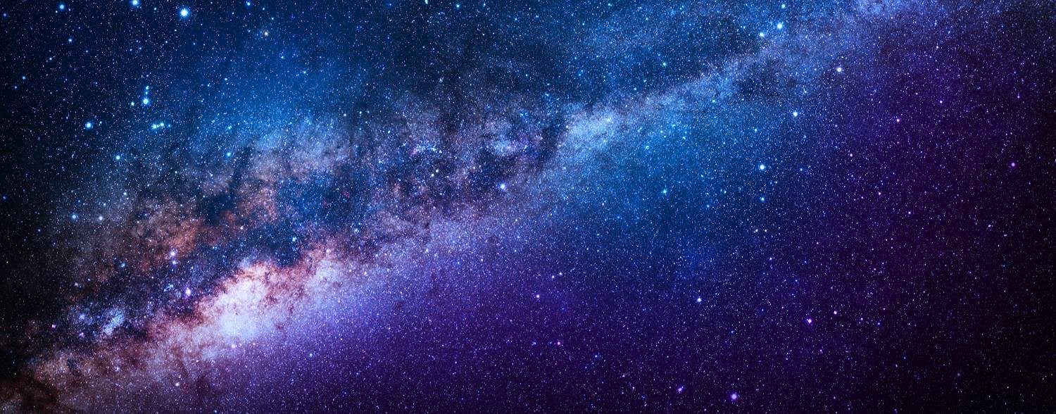 Никита Долгополов