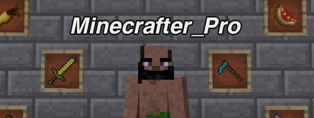 Майнкрафтер_Про
