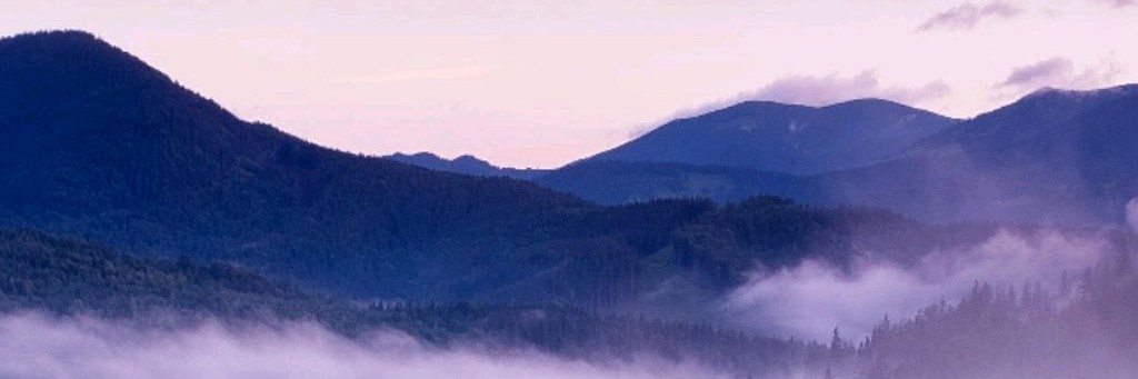 Знакомство с миром вокруг