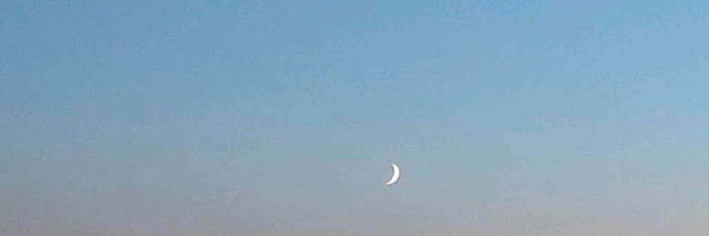 Помидоркины про