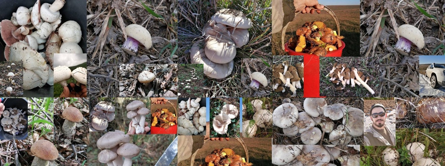 Юрий Николаевич