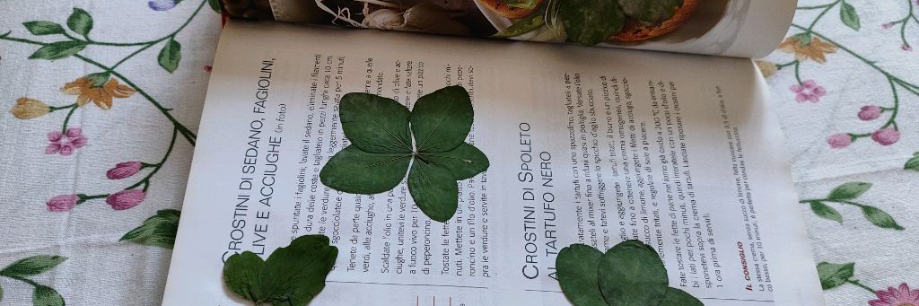 Социальное дно